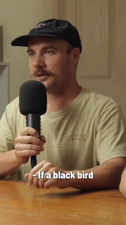 Sorry wall owwww - Meme by YourOtherLeft :) Memedroid