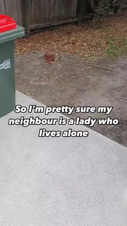 Wholesome neighbour - Meme by captaintropical :) Memedroid