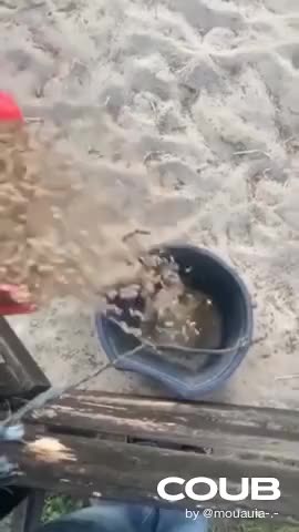 Get rekt - Meme by BrainlessGuyReturns :) Memedroid