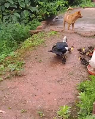 Just passing through - Meme by pleb :) Memedroid