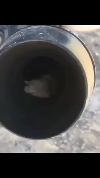 Volar - Meme by Sandro916 :) Memedroid