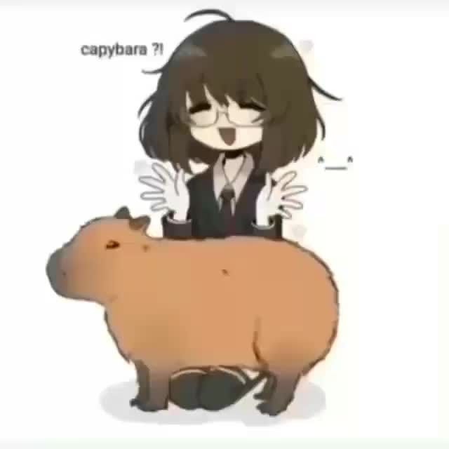 Capivara - Meme by Darth_Demo :) Memedroid