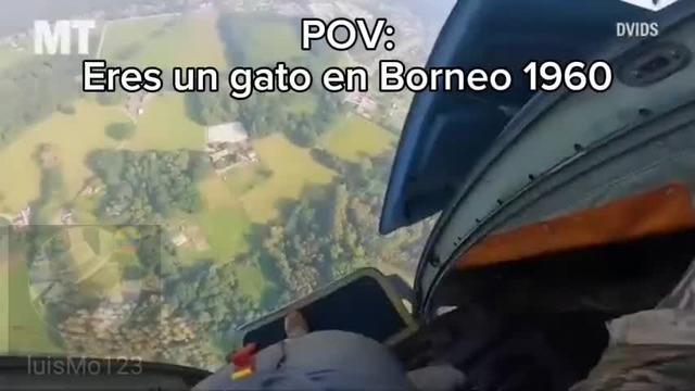 Imagínate vivir en esa isla y ver caer 14000 gatos en paracaídas - Meme ...