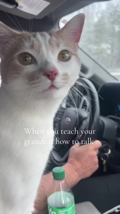 hiiii - Meme by tamikins123 :) Memedroid