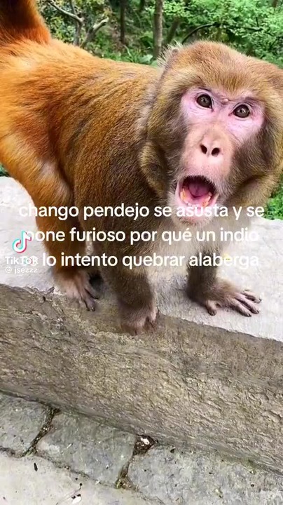 Chango - Meme subido por 6.armageddon.9 :) Memedroid