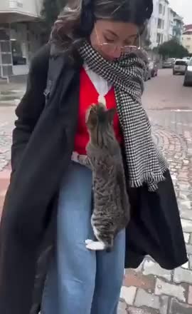 now it's your cat - Meme by TheNoiseIsReal :) Memedroid