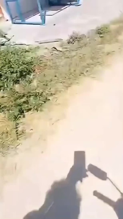 Tamed the bro - Meme by PASSWORD123456789 :) Memedroid