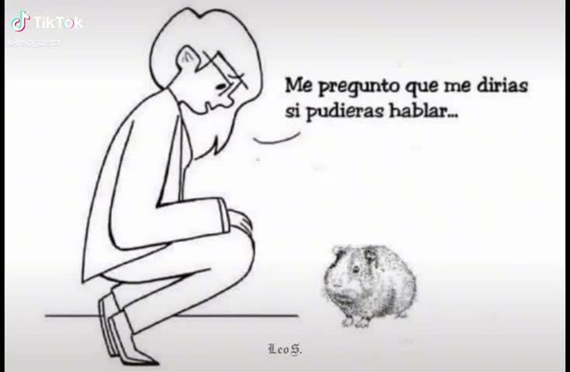 Summers meme - Meme by Camilitojosue123 :) Memedroid