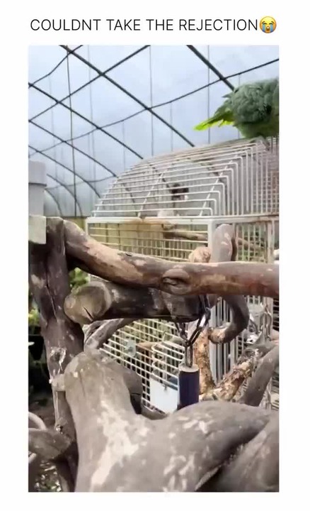 I feel you bro - Meme by TristanaGOLD :) Memedroid