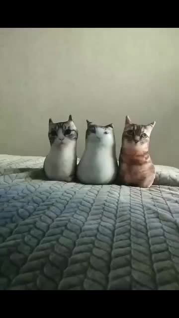 Wowie - Meme by Memedroid_User2_4.00 :) Memedroid