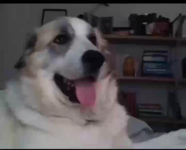 Cachetada (plantilla) - Meme subido por vicecity123f :) Memedroid