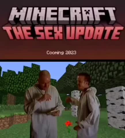 Funny Minecraft meme. NEW UPDATE is gonna be great - Meme by arrowguy ...