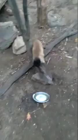 This is how evolution started - Meme by tivoxx :) Memedroid