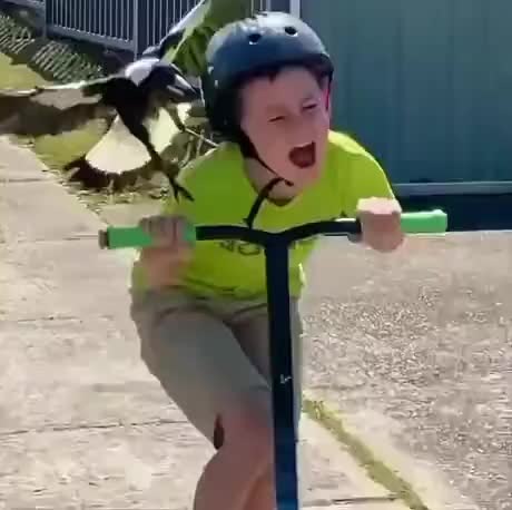 The fugitive - Meme by schizoidman :) Memedroid