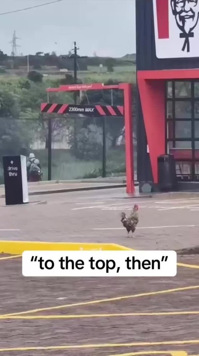 To the top - Meme by Alivetipo :) Memedroid