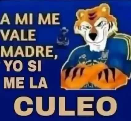 Todo tonto - Meme by Kris_SI.12 :) Memedroid