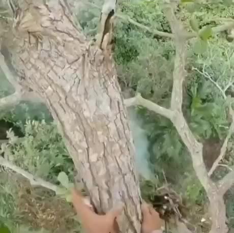 It Was At This Moment He Knew He... - Meme by iWasBornOnAsaturday ...