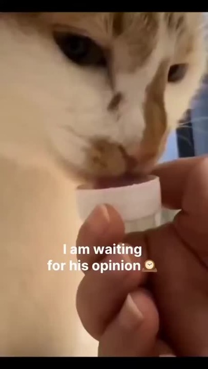 he knows very well what he's tasting - Meme by godkillergod :) Memedroid