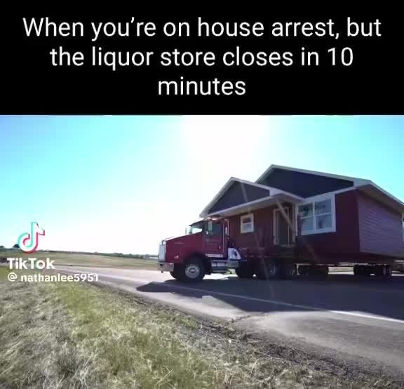 Can't stop me - Meme by Knot_daddy :) Memedroid