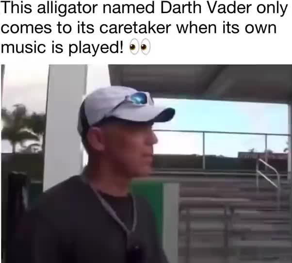 Darth Gator - Meme by adsateBLUE :) Memedroid