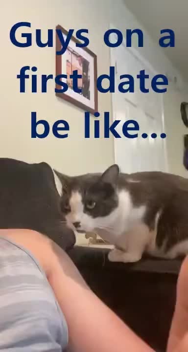 Hahah that cat has skills - Meme by shamputurner :) Memedroid