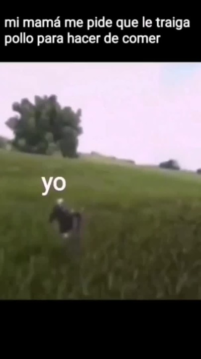 Yo trayendo el pollo que me ha pedido mi madre con el perro hambriento ...