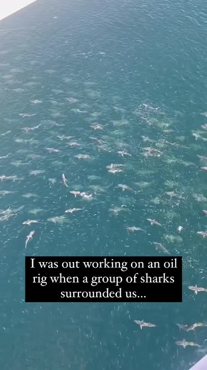 They seem like they just want to talk about your ships extended ...