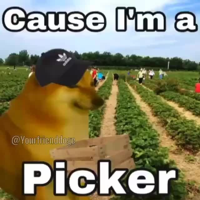 Cheem - Meme by Knot_daddy :) Memedroid