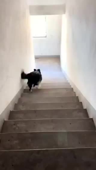 I does an INVENTION - Meme by CampingIsStrategy :) Memedroid