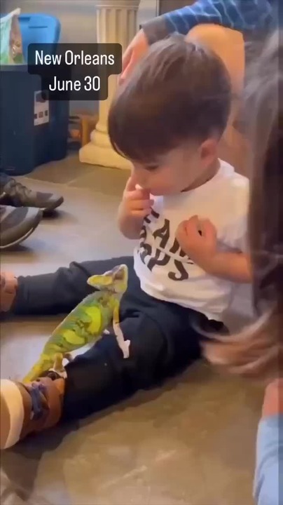 Enzo - Meme by NecroEdu :) Memedroid