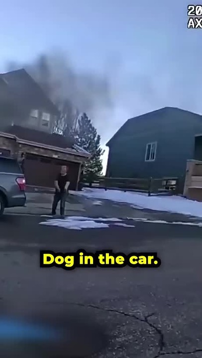 Rescuing a dog from a car on fire - Meme by XSAMANX :) Memedroid