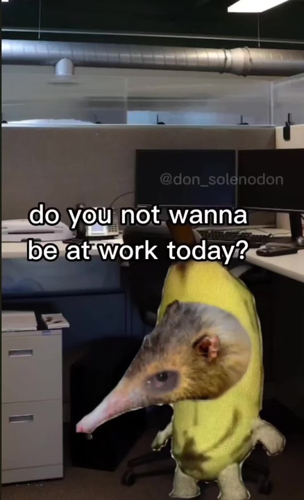 Puma brand anything - Meme by weirdal :) Memedroid