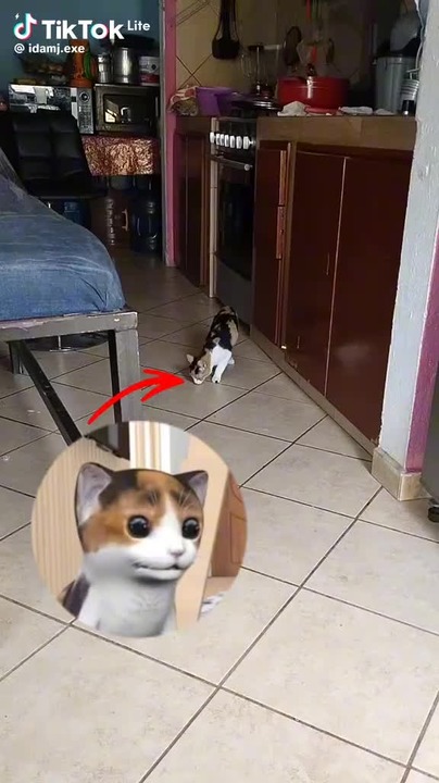 KING PANTERA LIVE ACTION - Meme subido por Dani_flow_mela_pe_la ...