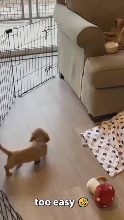 so easy - Meme by fatigator :) Memedroid