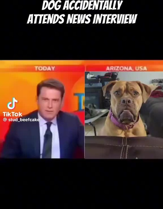 Doc accidentally attends news interview - Meme subido por MemeTheVersed ...