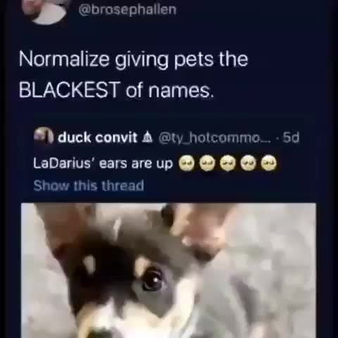 caca de perro mojada en pis de vaca hervido en semen de rata a la ...