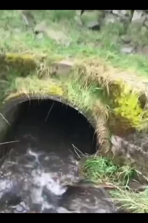 Surprise - Meme by Cliffy_99 :) Memedroid