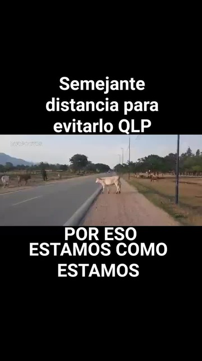 Pvta madre - Meme subido por Kaleno87 :) Memedroid