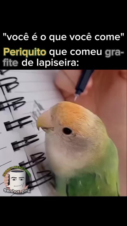 PRIQUITO - Meme by Senhor_png :) Memedroid