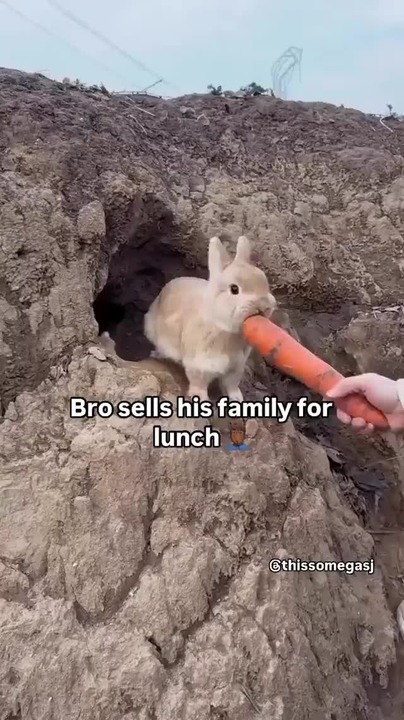 easy rabbits - Meme subido por BRIcola :) Memedroid