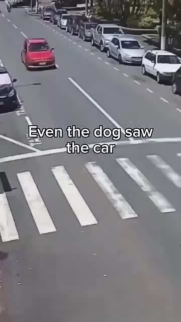 you gotta focus - Meme by Jungster :) Memedroid