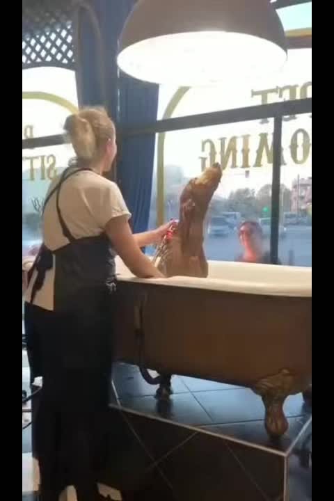 Spa day - Meme by Cliffy_99 :) Memedroid