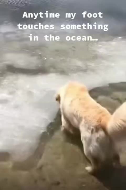 Scared - Meme subido por Cliffy_99 :) Memedroid