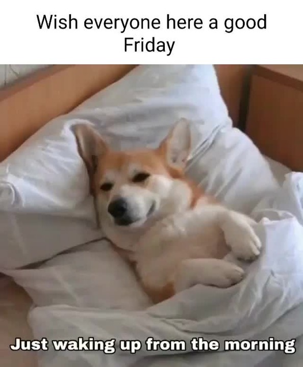 Chill Friday - Meme by Baiast :) Memedroid