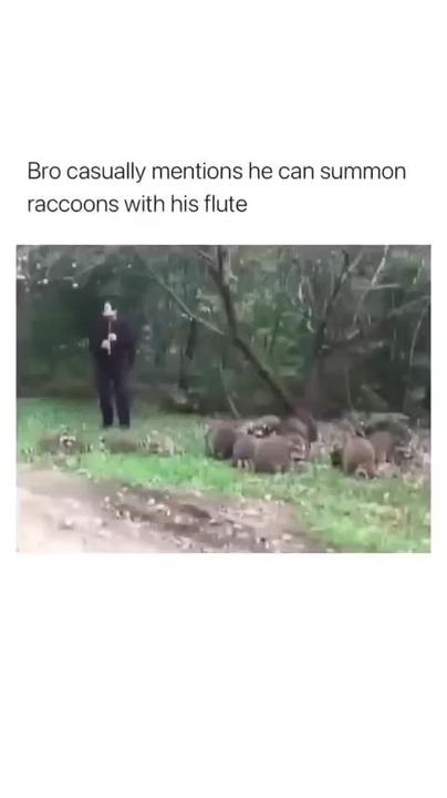 El flautista de Hamelin le decian - Meme by Matty4life :) Memedroid