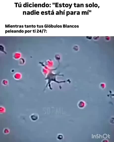 Meme de San valentin 2025 - Meme by ratmous :) Memedroid