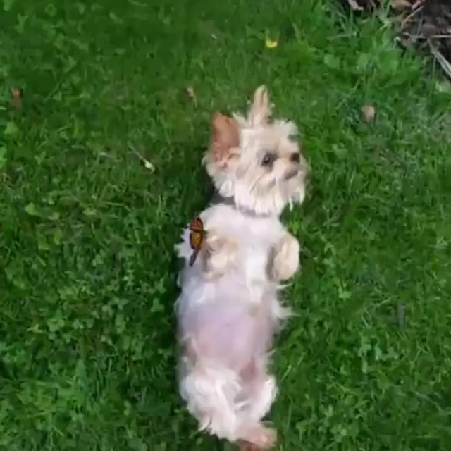 frenz - Meme by tamikins123 :) Memedroid