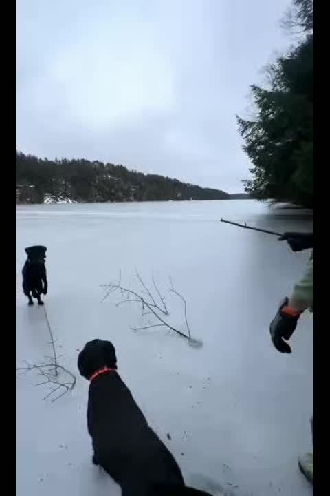 Oreo - Meme by Cliffy_99 :) Memedroid