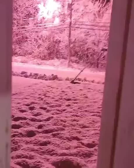 Rave out in the woods - Meme by exonx5 :) Memedroid