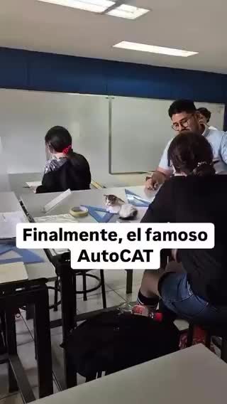 El mítico AutoCAT que nadie pidió pero todos amamos - Meme subido por ...